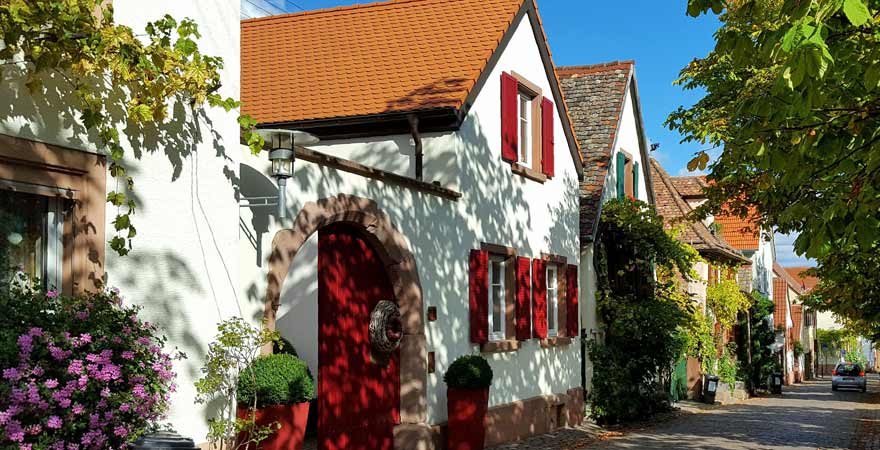 Die Deutsche Weinstraße: Zwischen Trauben, Kultur und Festen